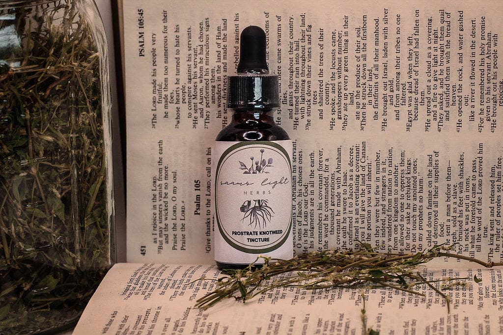 Prostrate Knotweed Tincture - SAAMS Light
