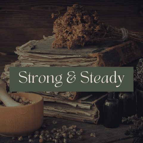 Strong & Steady - SAAMS Light