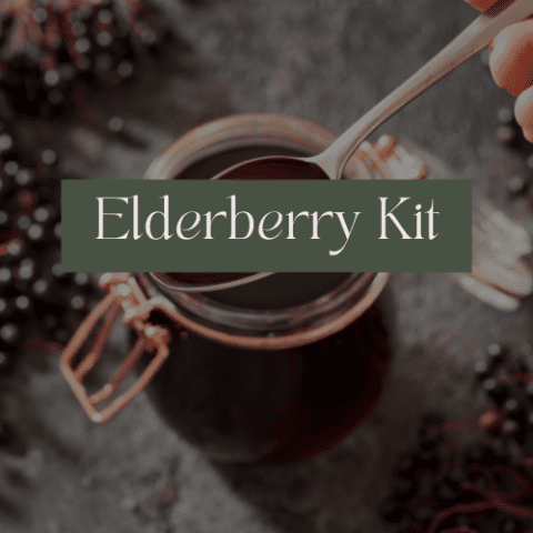 Elderberry Kit - SAAMS Light