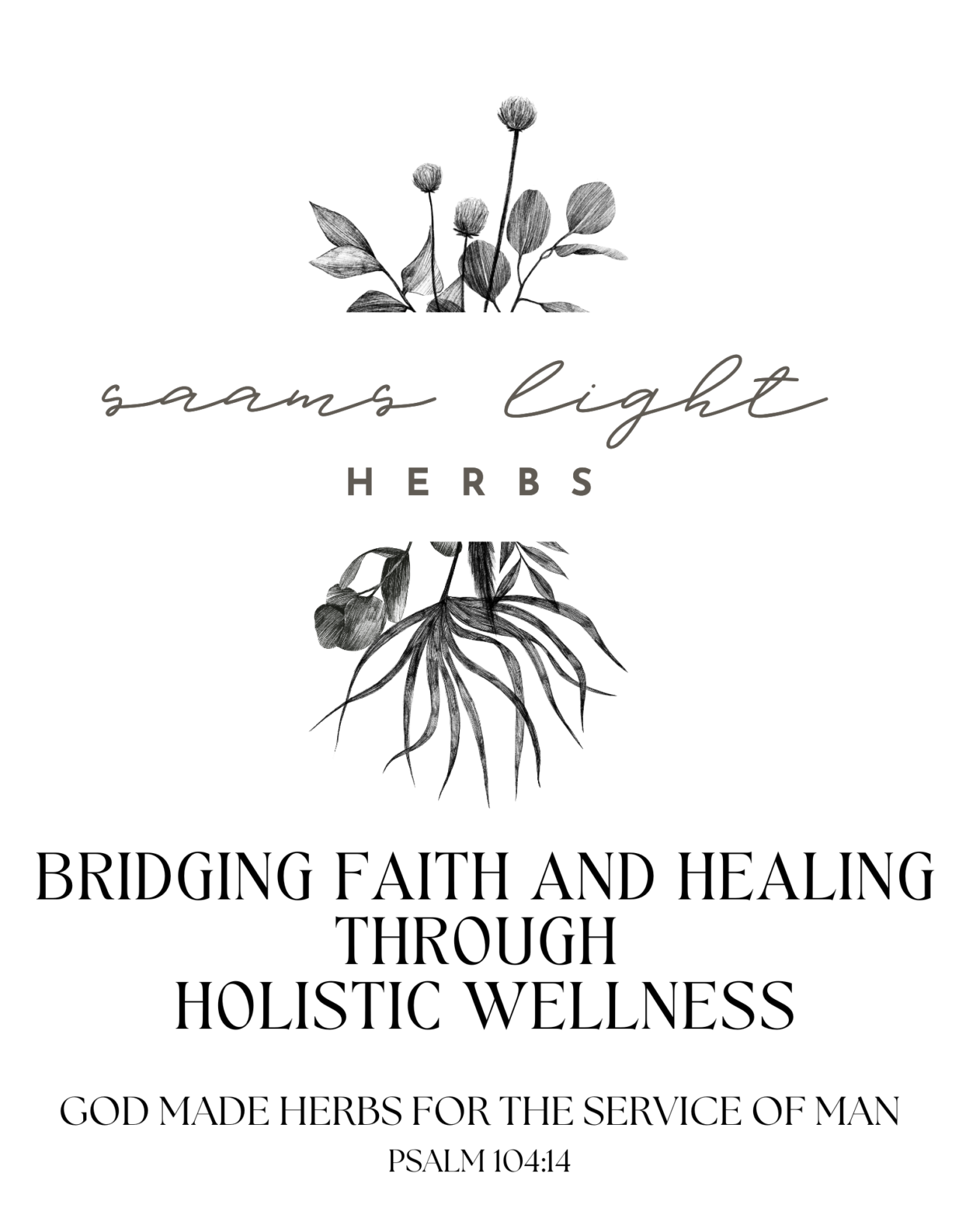 About Us - SAAMS Light