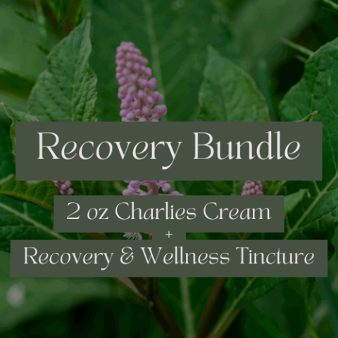 Recovery bundle - SAAMS Light