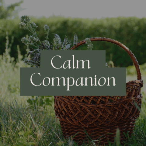 Calm Companion - SAAMS Light